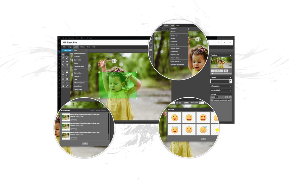 WP Paint - WordPress Image Editor - ZetaMatic