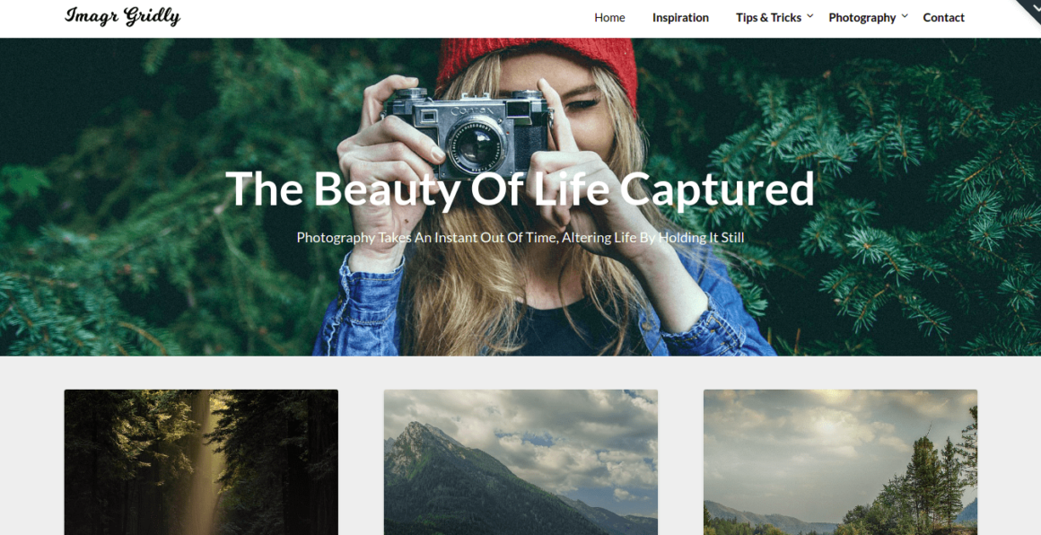 Top 25 Free WordPress Themes for Photographers - ZetaMatic